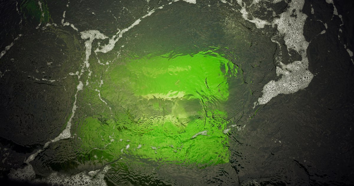 datablad-argus-mini | ROV as